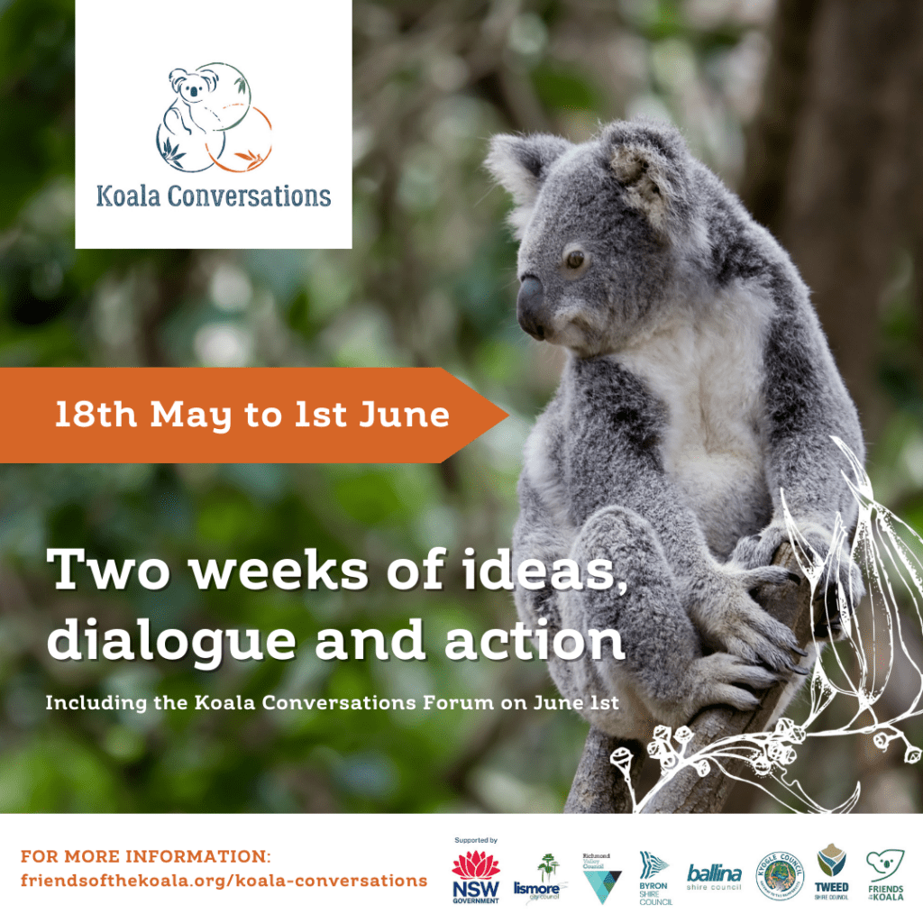 Koala Conversations