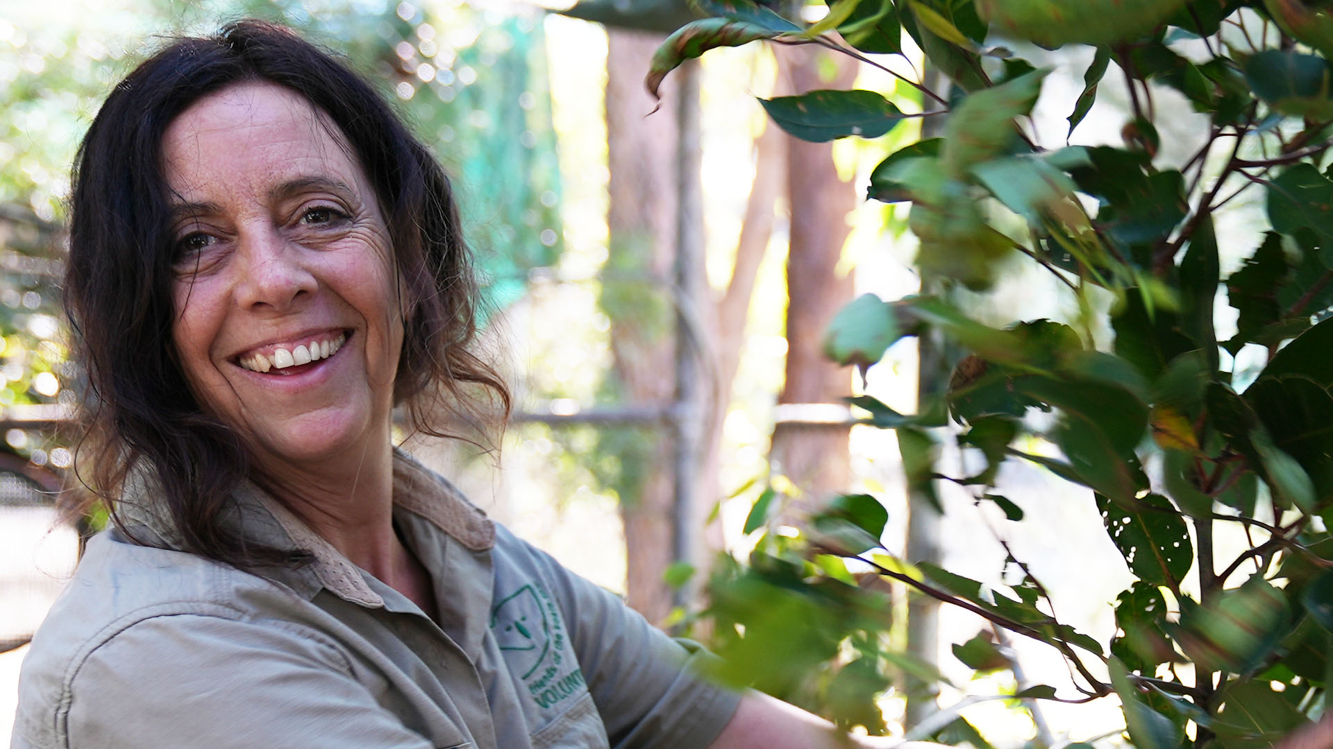 Faces of FOK: Q&A with Dominique - Friends of the Koala