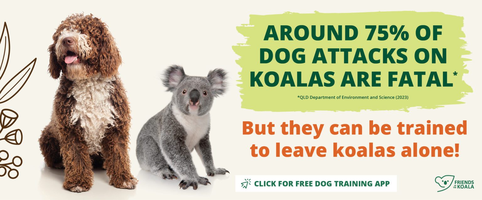 Koalas and dogs - Friends of the Koala