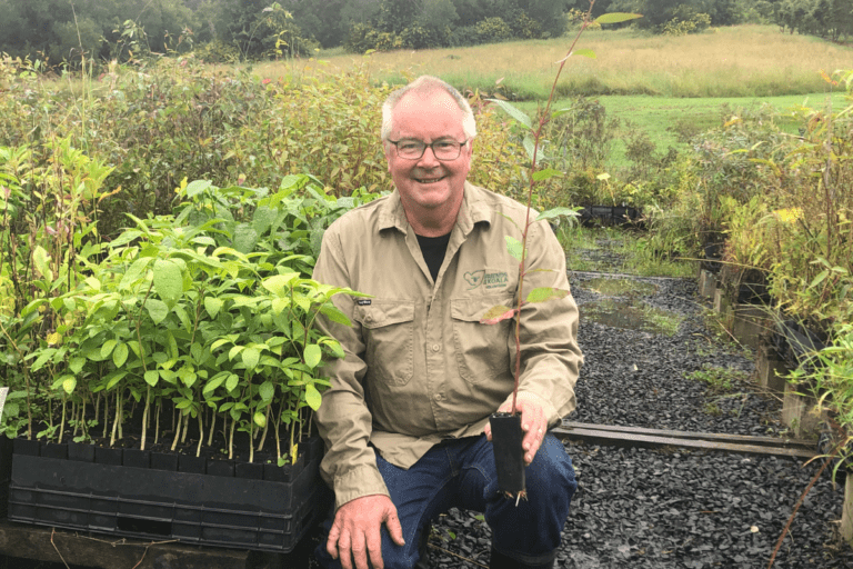 Koalas aren't dumb, they are sleepy survivors - Friends of the Koala