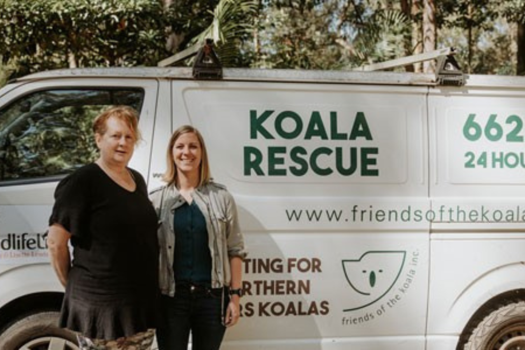 We need to save koalas from extinction Part I - Friends of the Koala