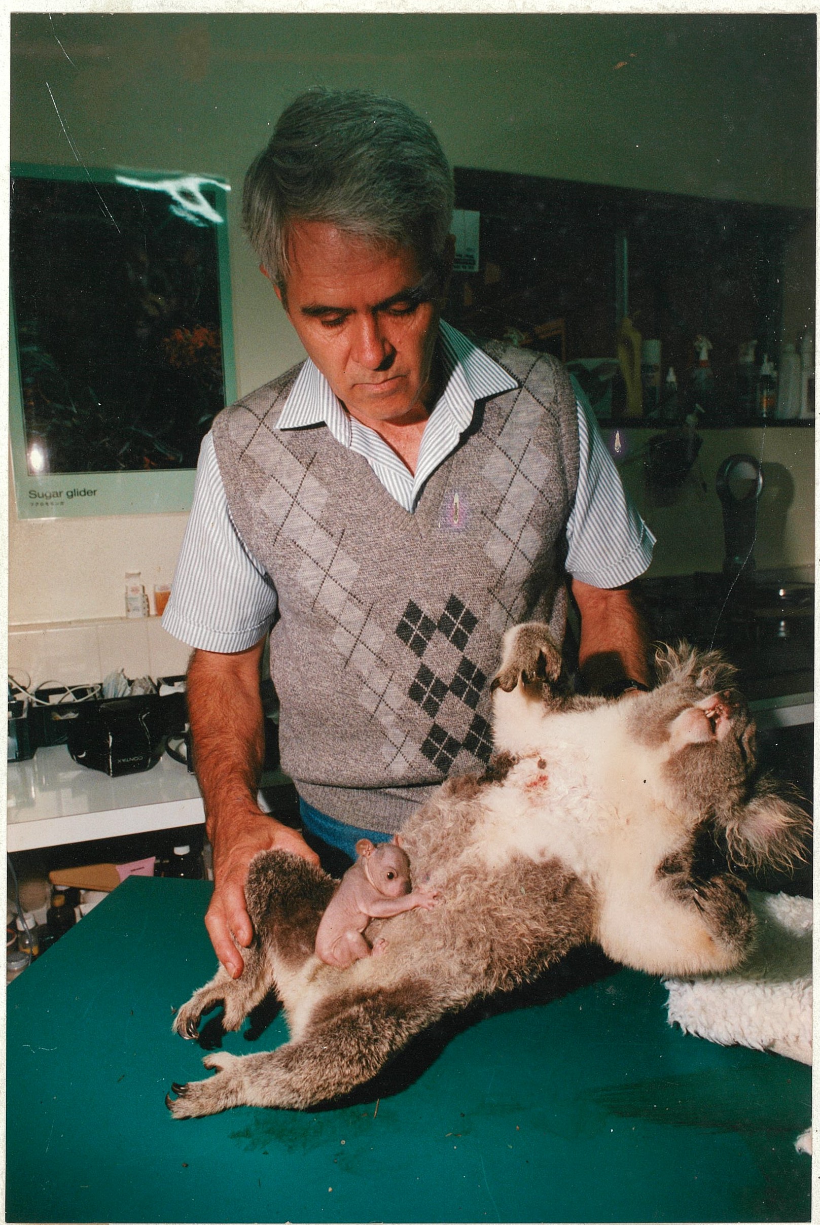 Faces of FOK: Past President Geoff Tomkins - Friends of the Koala