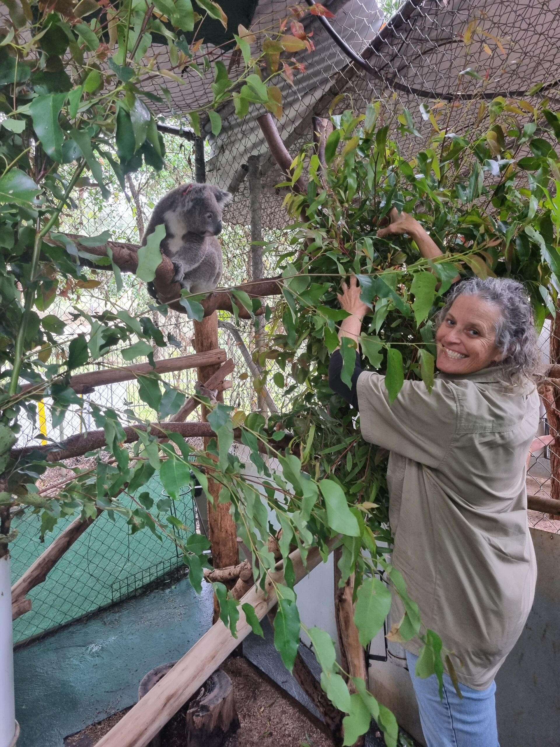 Volunteer Week Celebrations 2023 - Friends of the Koala