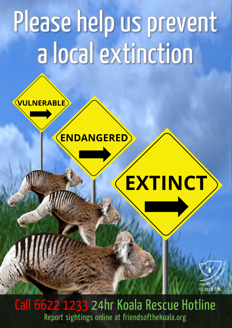 Please help us prevent a local extinction - Friends of the Koala