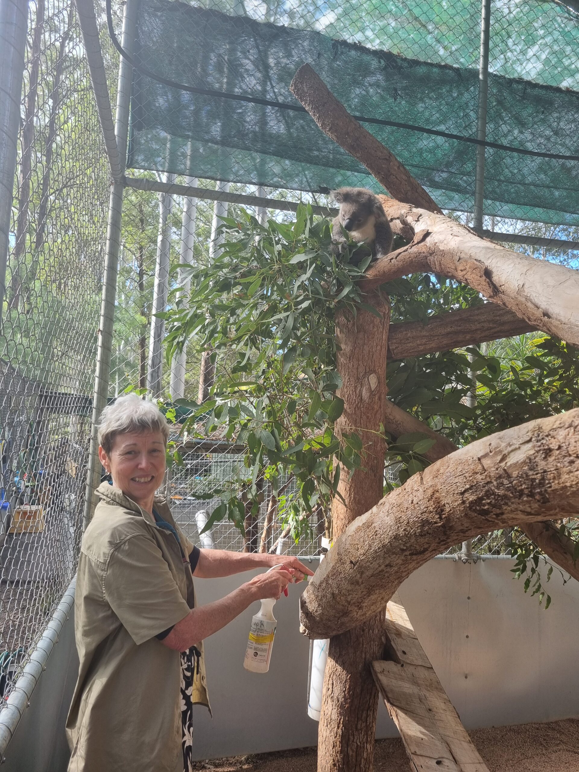 Volunteer Week Celebrations 2023 - Friends of the Koala