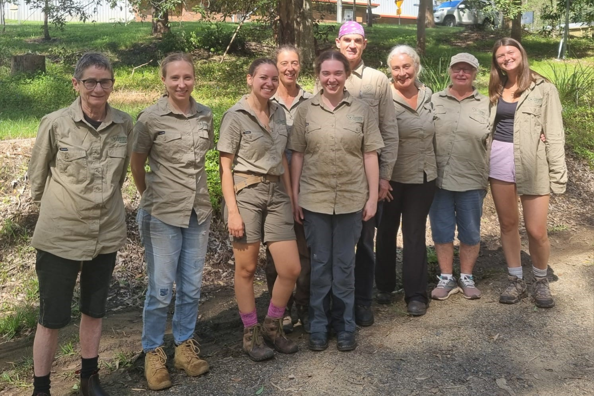 National Volunteer Week 2024 - Friends of the Koala