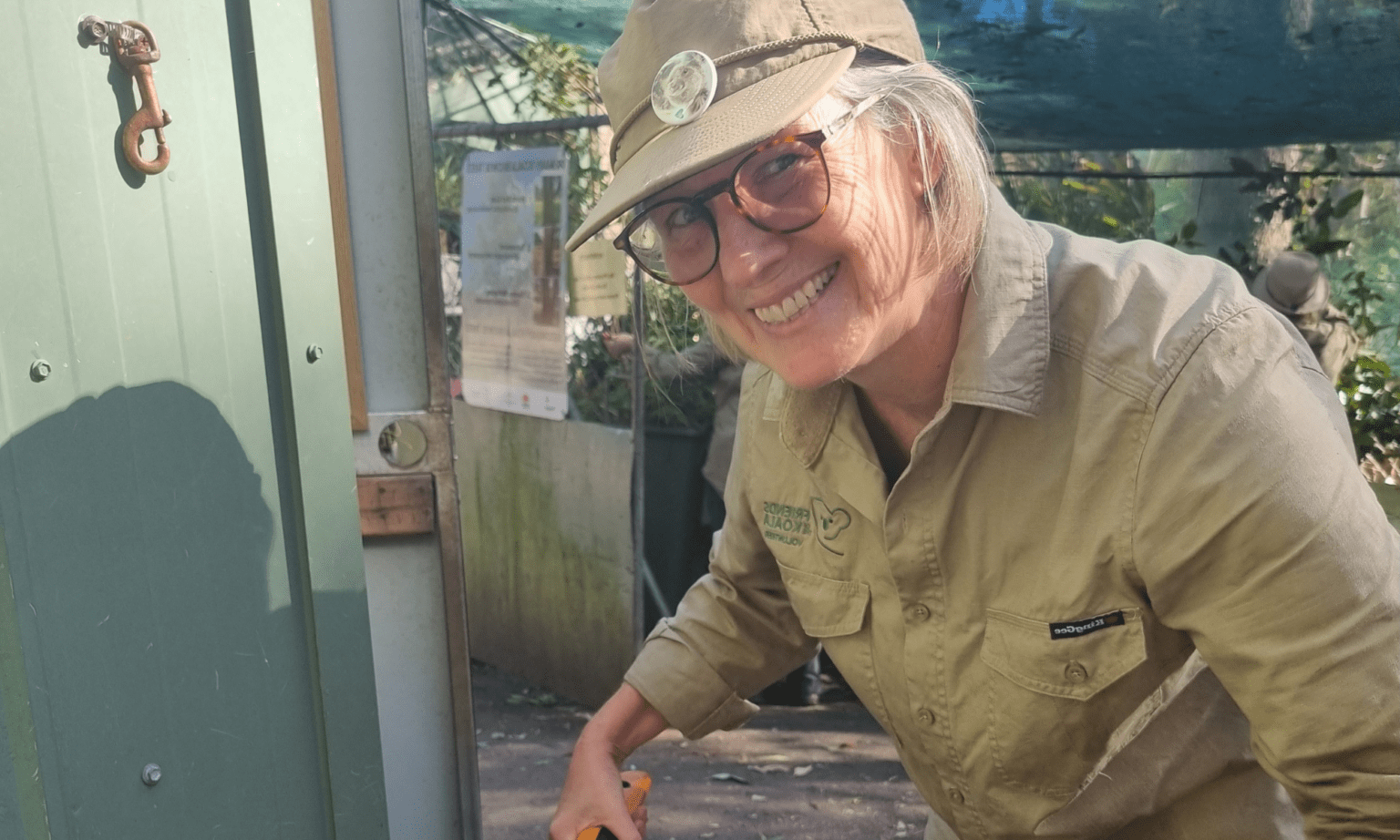 Koalas aren't dumb, they are sleepy survivors - Friends of the Koala