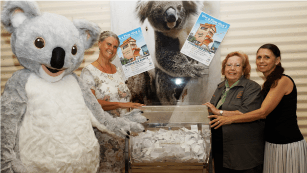 Triumph for the World's First Koala Prosthesis - Friends of the Koala