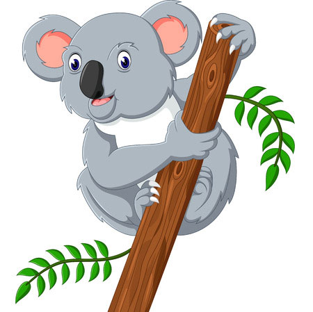 Koala Kids' Corner - Friends of the Koala
